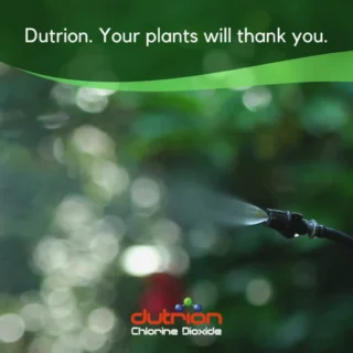 AETHYM – Your source for Dutrion Tablets